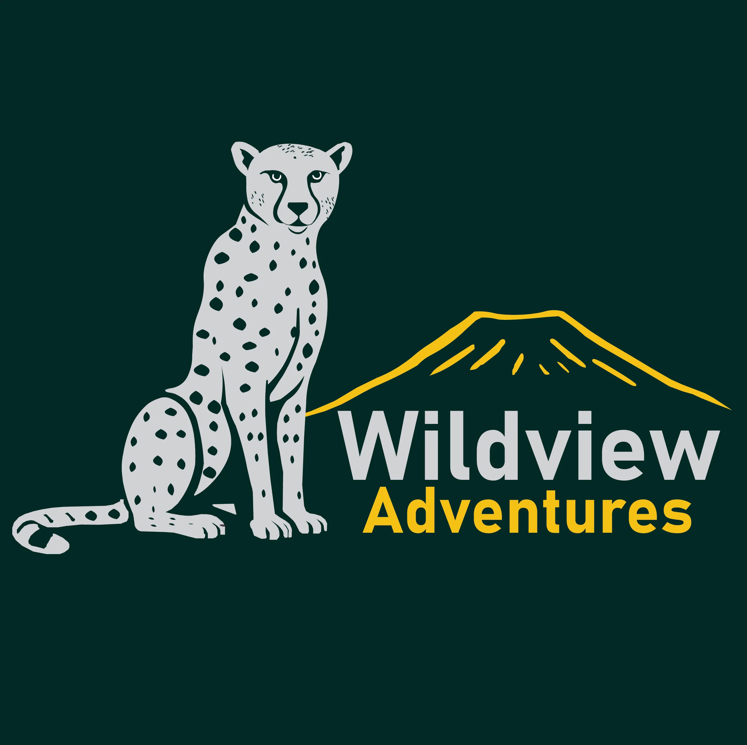 Wildview Adventure – Tanzania Safari Tours & Travel Experiences